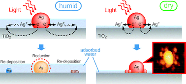 Effects of adsorbed water on plasmon-based dissolution, redeposition ...