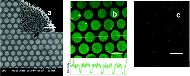 Fabrication of micropatterned ZnO/SiO2 core/shell nanorod arrays on a ...