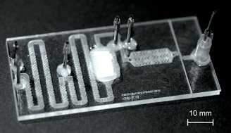 A lab-on-a-chip for detection of nerve agent sarin in blood - Lab on a ...