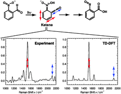 The ketene intermediate in the photochemistry of ortho ...