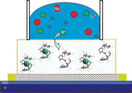 Ion-sensitive field effect transistors using carbon nanotubes as the ...