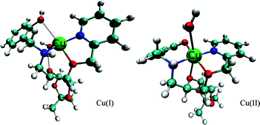 Synthesis, characterization and dioxygen reactivity of copper(i ...