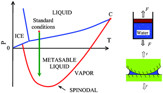 Phase behavior of capillary bridges: towards nanoscale water phase ...