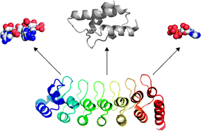 A primer on ankyrin repeat function in TRP channels and beyond ...