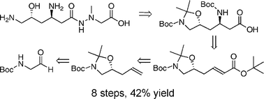 Efficient total synthesis of (+)-negamycin, a potential ...