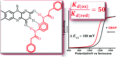 Hydrogen bond-free flavin redox properties: managing flavins in extreme ...