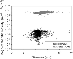 Differences in magnetically induced motion of diamagnetic, paramagnetic ...