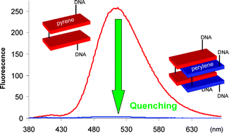 Highly efficient quenching of excimer fluorescence by perylene diimide ...