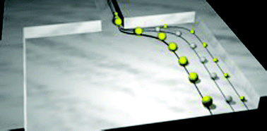 Pinched flow fractionation devices for detection of single nucleotide ...