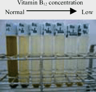 Spectroscopic properties and bacteriochlorophyll c isomer composition ...