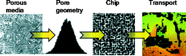 Lab-on-chip methodologies for the study of transport in porous media ...