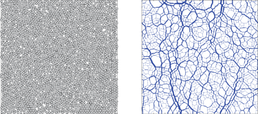 Granular matter and networks: three related examples - Soft Matter (RSC ...