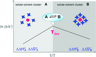 Solvent effects on stereoselectivity: more than just an environment ...