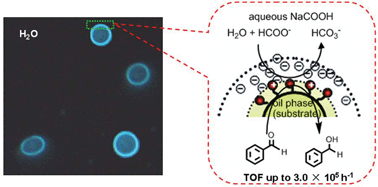 Transfer hydrogenation of aldehydes on amphiphilic catalyst assembled ...
