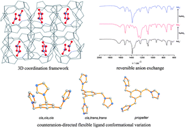 Structure diversity and reversible anion exchange properties of cadmium(ii) complexes with 1,3,5 ...
