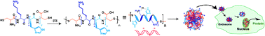 Combination dual responsive polypeptide vectors for enhanced gene ...