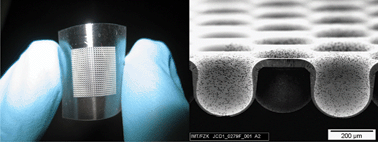 Flexible fluidic microchips based on thermoformed and locally modified ...