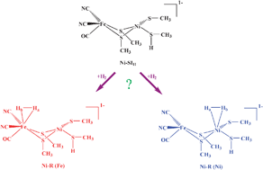 QM/MM studies of Ni–Fe hydrogenases: the effect of enzyme environment ...
