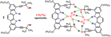 An anion receptor with NH and OH groups for hydrogen bonds - Chemical ...