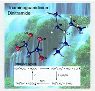 Triaminoguanidinium dinitramide—calculations, synthesis and ...