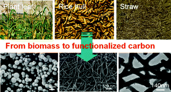 Functional carbonaceous materials from hydrothermal carbonization of ...