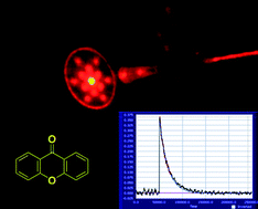 Laser flash photolysis with nanoliter samples: photonic crystal fibers ...