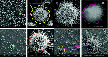 Defect-pit-assisted growth of GaN nanostructures: nanowires, nanorods ...
