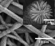 Preparation of self-supporting hierarchical nanostructured anatase ...
