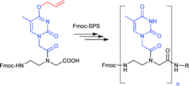 O-Allyl protection in the Fmoc-based synthesis of difficult PNA ...