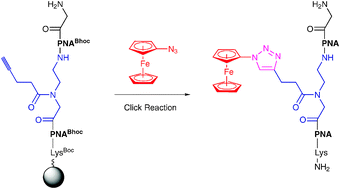 Synthesis of organometallic PNA oligomers by click chemistry - Chemical ...