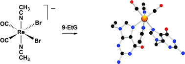 Substitution reactions with [ReBr2(CO)2(NCCH3)2]−: a convenient route ...