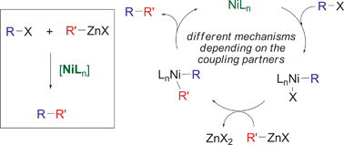 Nickel-catalysed Negishi cross-coupling reactions: scope and mechanisms ...