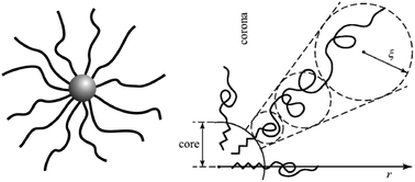 Comprehensive theory for star-like polymer micelles; combining ...