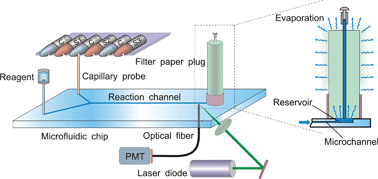 A microfluidic flow injection system for DNA assay with fluids driven by an on-chip integrated ...