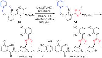 Convergent total syntheses of Fluvibactin and vibriobactin using ...