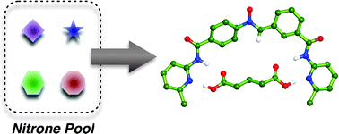 Target-driven selection in a dynamic nitrone library - Chemical ...