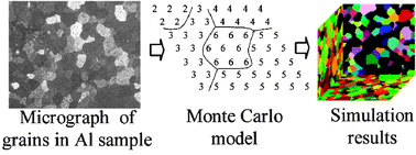 Multiscale effects in crystal grain growth and physical properties of ...
