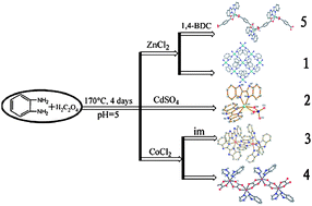 A series of metal–organic complexes constructed from in situ generated ...