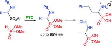 An easy entry to optically active α-amino phosphonic acid derivatives ...