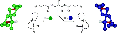 Remote induction of asymmetry in [13]-macro-dilactone topology by a ...