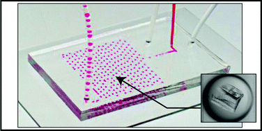 Microfluidic crystallization - Lab on a Chip (RSC Publishing)