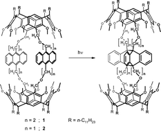 Photocyclizable resorcin[4]arene dimers - Photochemical ...