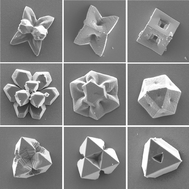 Shape control of inorganic materials via electrodeposition - Dalton ...