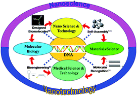 Materials science of DNA - Journal of Materials Chemistry (RSC Publishing)
