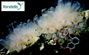Development of Yondelis® (trabectedin, ET-743). A semisynthetic process ...