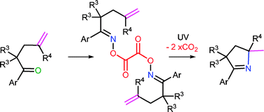 From dioxime oxalates to dihydropyrroles and phenanthridines viaiminyl ...