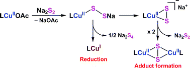 Reaction of β-diketiminate copper(ii) complexes and Na2S2 - Dalton ...