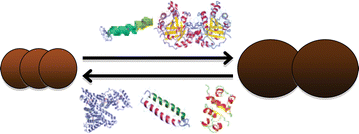 Affinity assays for detection of cellular communication and biomarkers ...