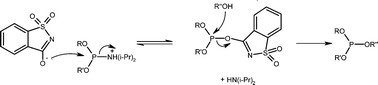 The mechanism of the phosphoramidite synthesis of polynucleotides ...