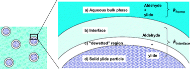 Unusual temperature dependence of salt effects for “on water” Wittig ...